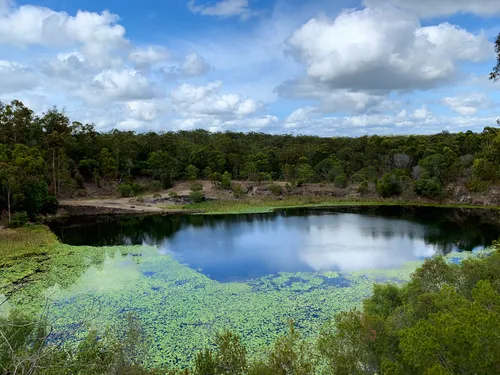 10 Best Hikes and Trails in Daisy Hill Conservation Park | AllTrails