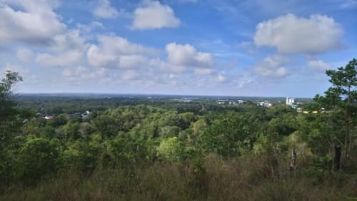 Best Hikes and Trails in Sungai Basong Recreational Park | AllTrails