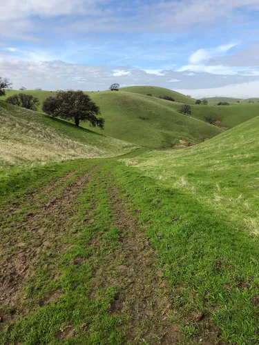 10 Best Hikes and Trails in Los Vaqueros Reservoir and Watershed ...