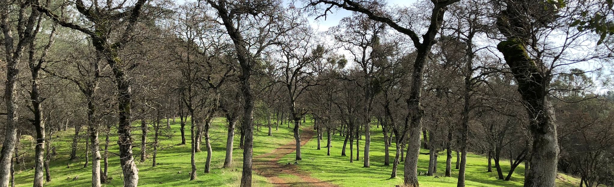 Hidden Falls and Seven Pools Loop, California - 1,047 Reviews, Map ...