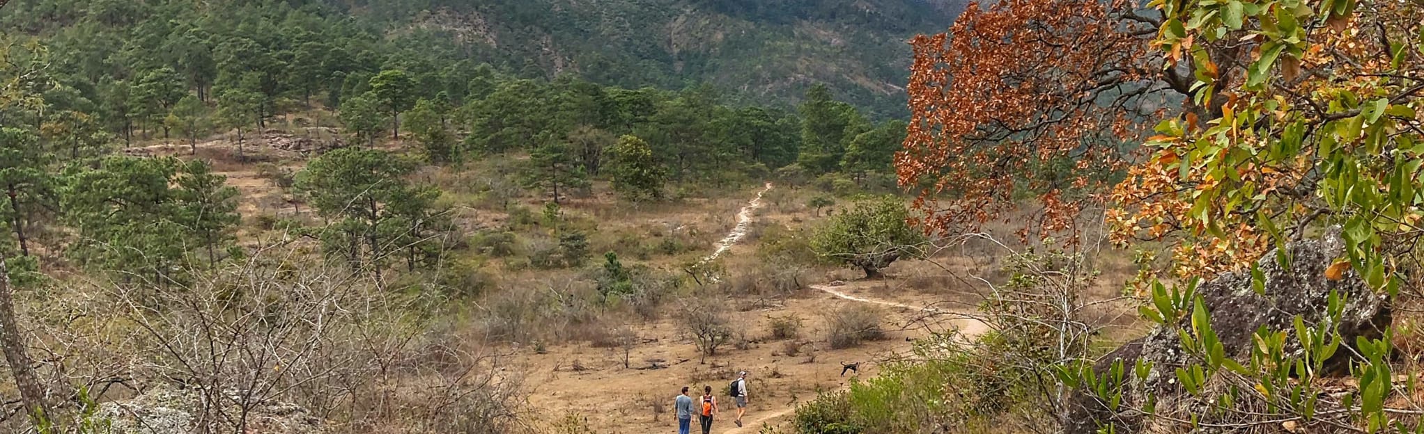 La Mesa Hill - El Cimarron Bike Park: 27 Reviews, Map - Francisco ...