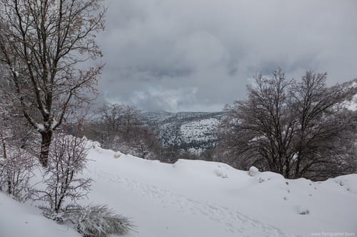 2023 Best 10 Trails, Walks, and Paths in Majdal Shams | AllTrails