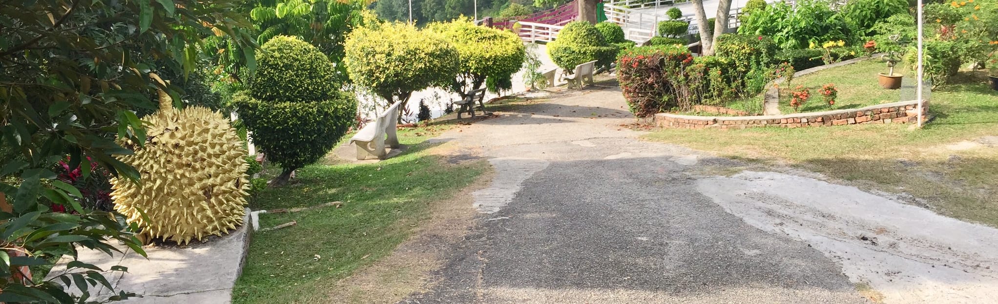 Suling Hill MTB Loop, Penang, Malaysia - Map, Guide | AllTrails