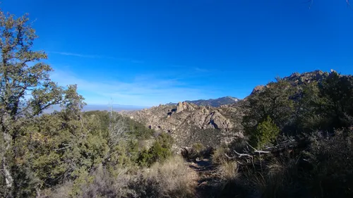 10 Best Hikes and Trails in Pusch Ridge Wilderness | AllTrails