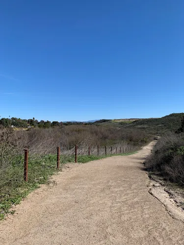 10 Best Trails and Hikes in Oceanside | AllTrails