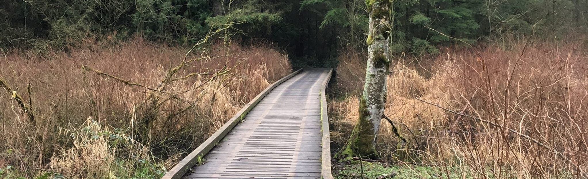 Perimeter and Vine Maple Trail Loop, British Columbia, Canada - 343 ...