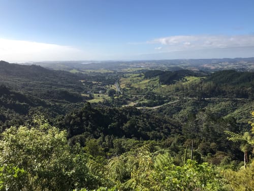 Best Hikes and Trails in Dome Forest Conservation Area | AllTrails