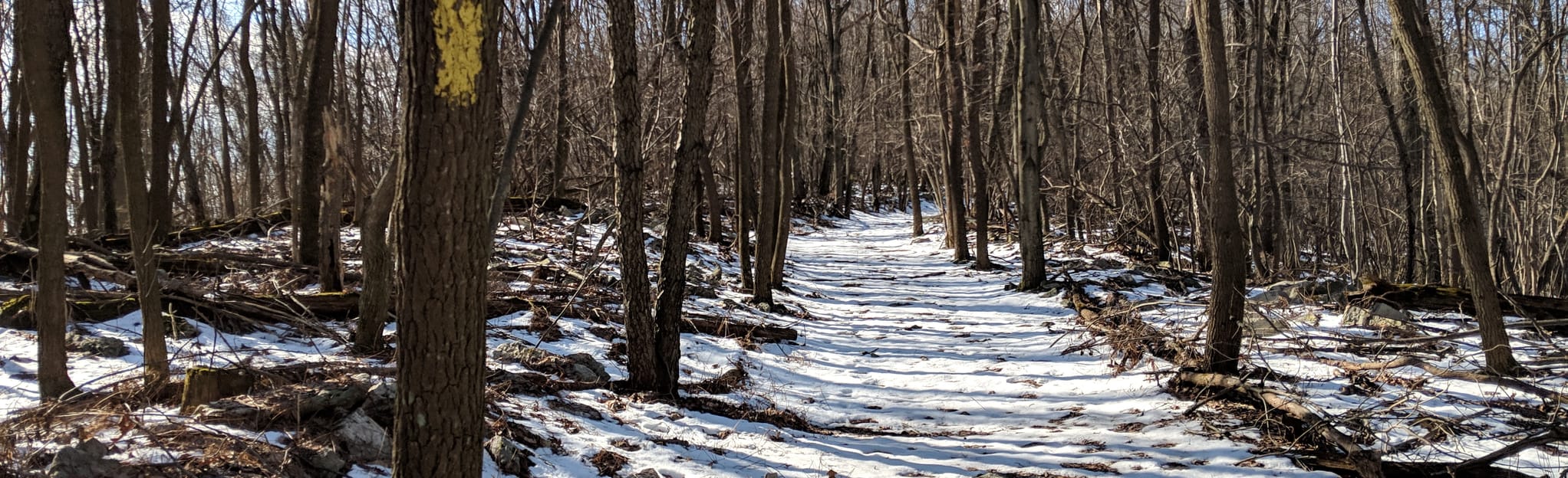 Mount Holly Marsh Loop, Spring, Creek, Briar and Ridge Trail ...
