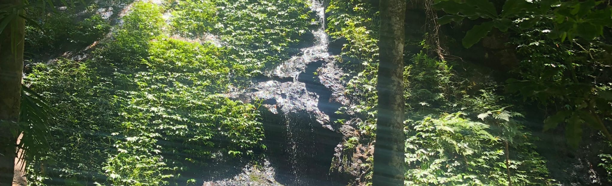 Goomburra Section Cascade Circuit and Ridge Trail - Queensland ...