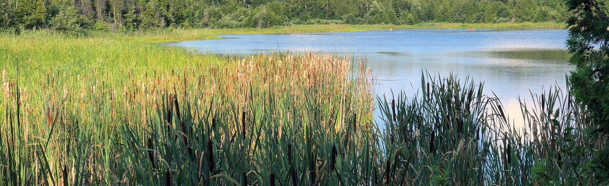 Oak Ridges Trail Association Side Trail: Secord's Pond: 90 Reviews, Map ...