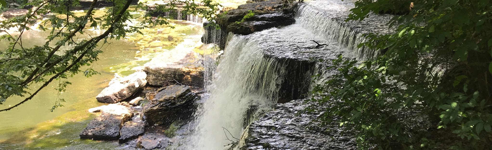 Enclosure Wall Trail, Tennessee - 1,416 Reviews, Map | AllTrails