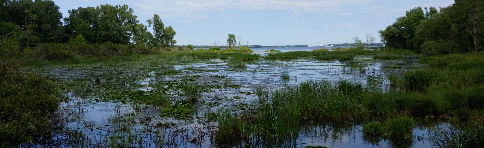 Presque Isle Multi-Purpose Trail From Park Entrance, Pennsylvania - 681 ...