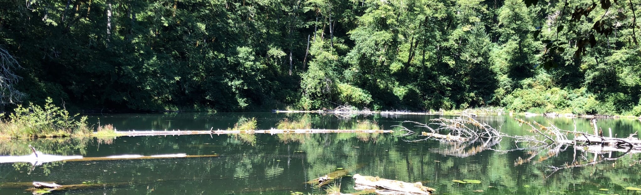 Battle Lake Trail: 9 Reviews, Map - Oregon | AllTrails