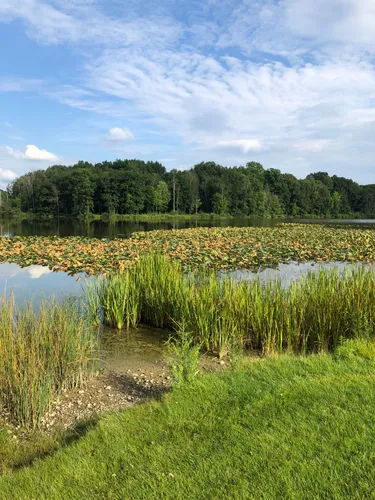 Best Hikes and Trails in Sunny Lake Park | AllTrails