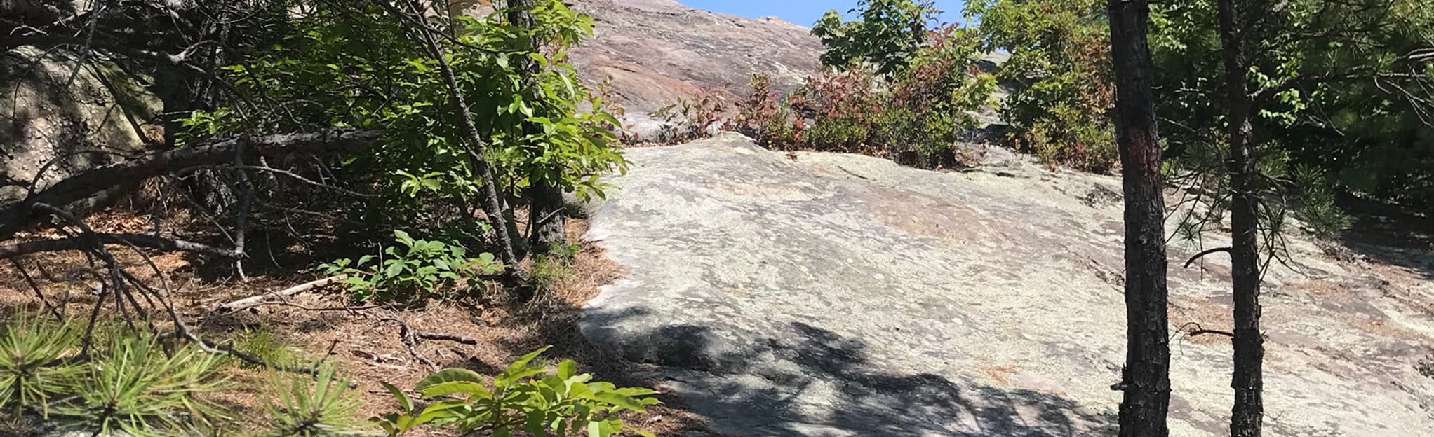 Bad Branch Trail, Kentucky - 169 Reviews, Map | AllTrails