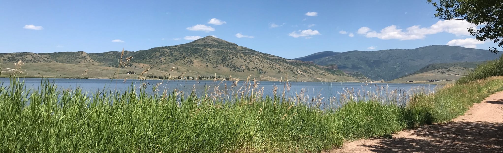 Elk Run Trail, Colorado - 48 Reviews, Map | AllTrails