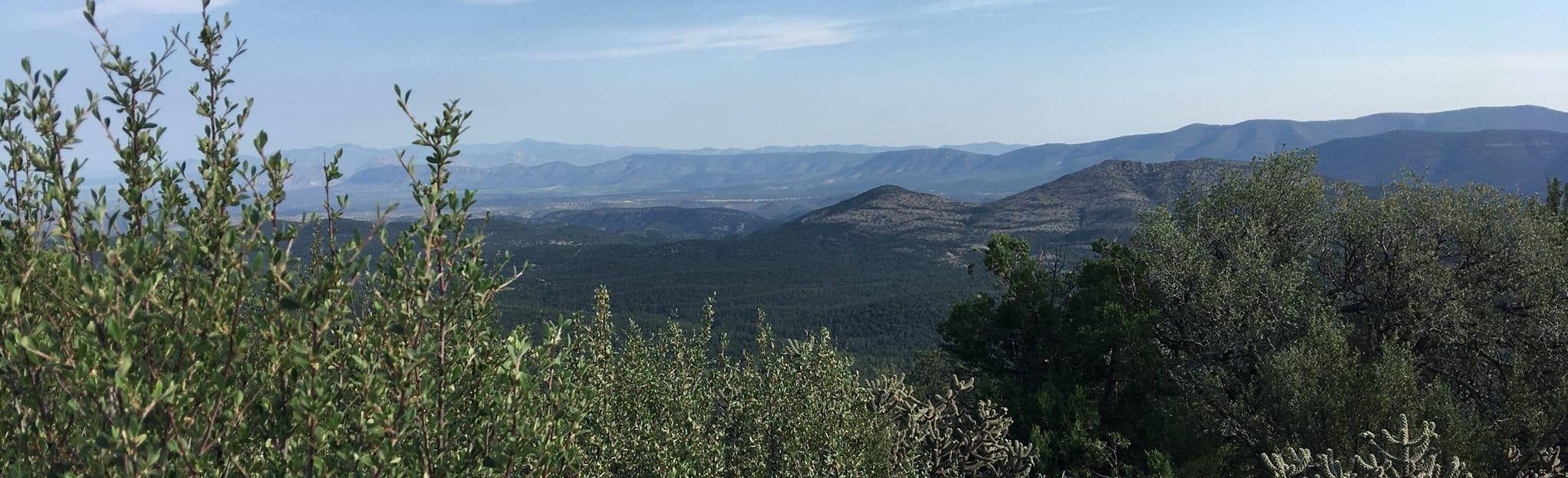 Eighty Mountain via Pinon Trail: 370 Reviews, Map - New Mexico | AllTrails