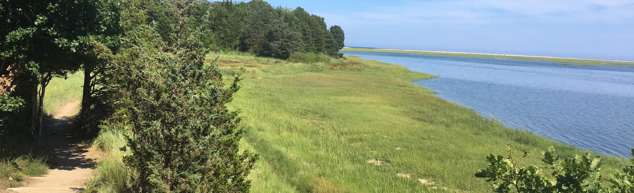 Salt Pond Trail , Massachusetts - 73 Reviews, Map | AllTrails