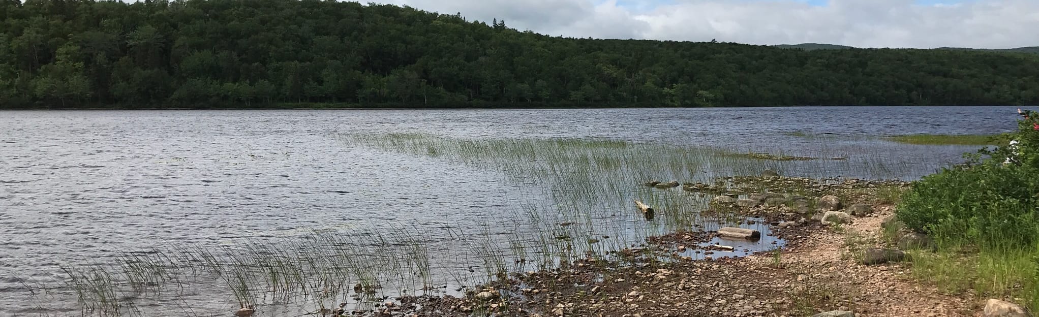 Warren Lake Paddle: 5 Reviews, Map - Nova Scotia, Canada | AllTrails