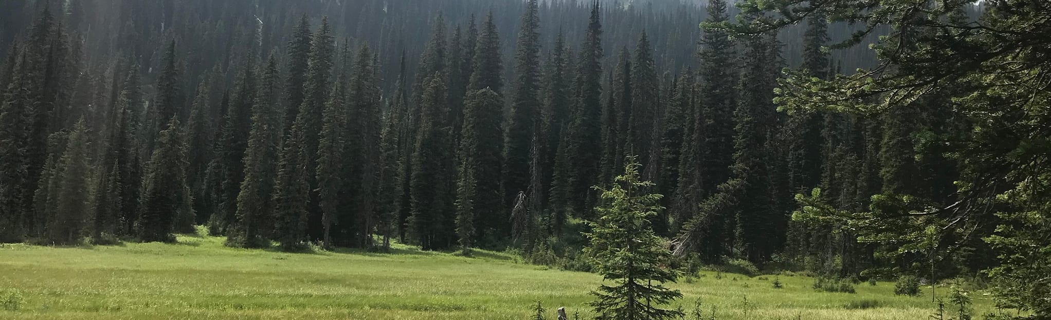 Big Therriault Lake to Therriault Pass Loop: 18 Reviews, Map - Montana ...