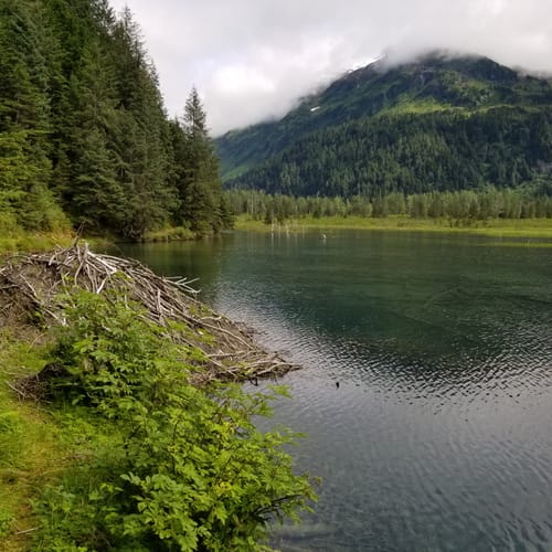 2023 Best Long Trails in Cordova | AllTrails 2023 Best Long Trails in Cordova | AllTrails