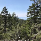 Tahoe Rim Trail (TRT) Complete Loop, California - 27 Reviews, Map ...