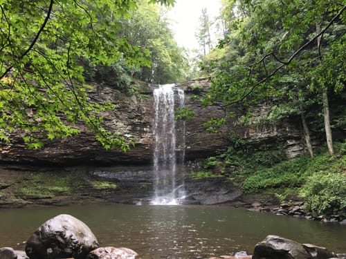 Best state parks in Georgia | AllTrails