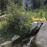 Tahoe Rim Trail (TRT) Complete Loop, California - 27 Reviews, Map ...