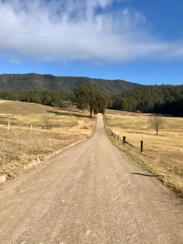 Best Hikes and Trails in Watagan State Forest | AllTrails