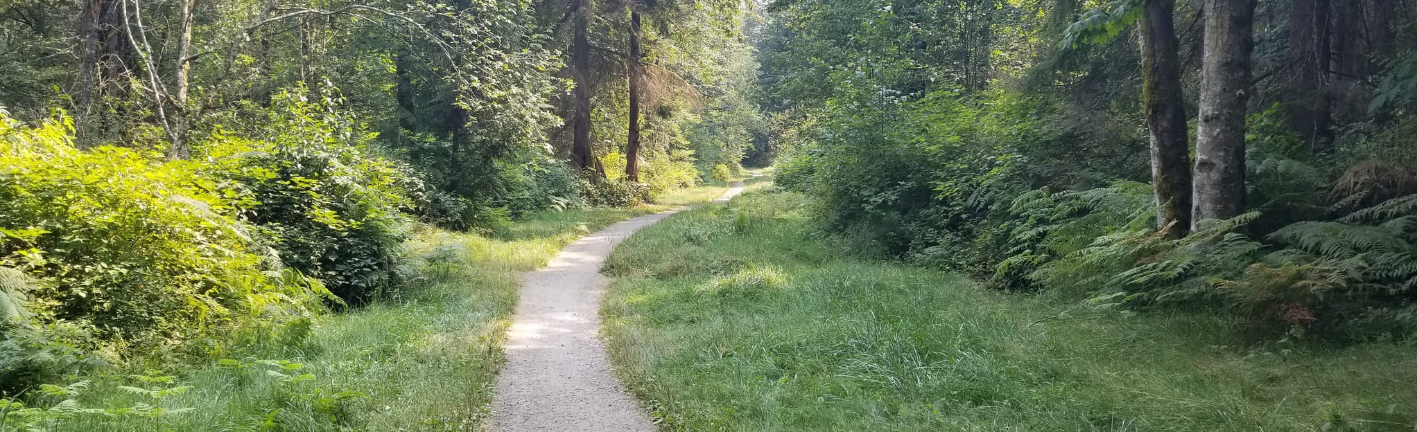 Soaring Eagle Park Trail, Washington - 1,737 Reviews, Map | AllTrails