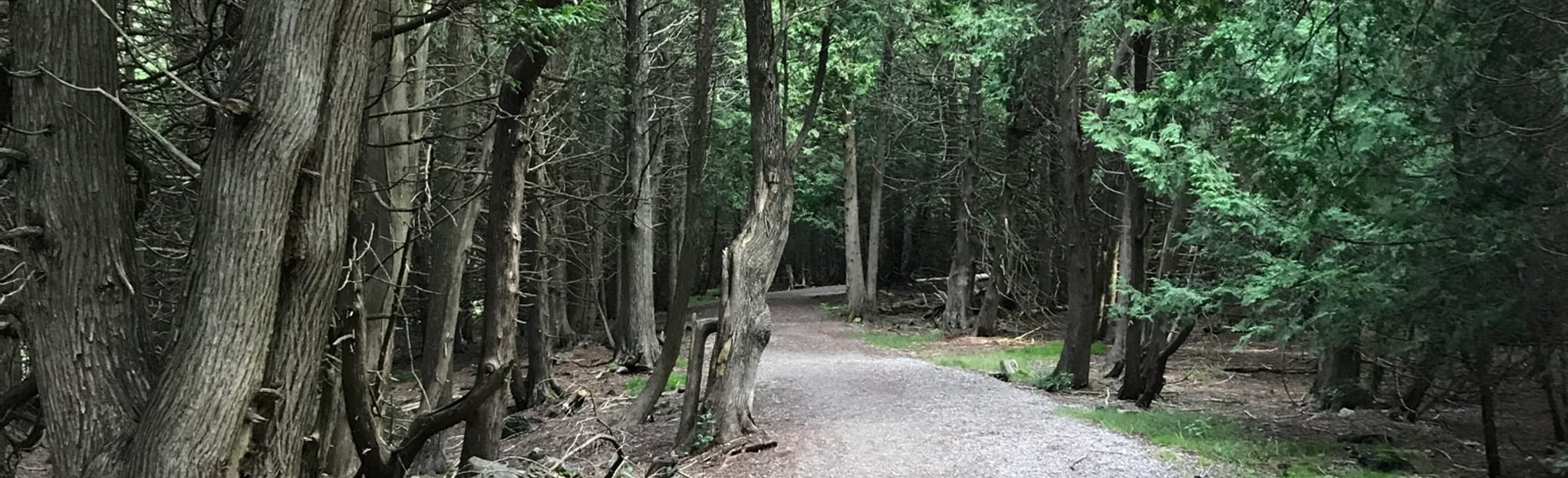 Fletchers Creek Ecological Preserve Loop, Ontario, Canada - 774 Reviews ...