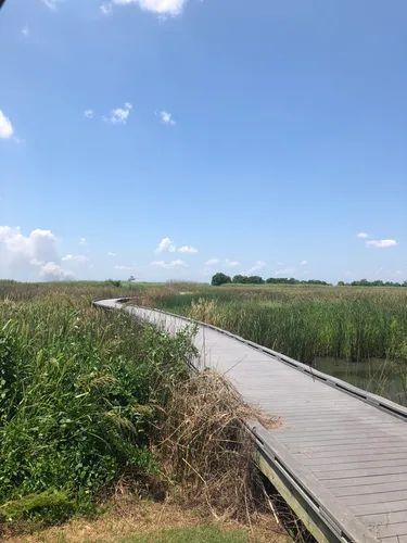 Best Hikes and Trails in Sabine National Wildlife Refuge | AllTrails