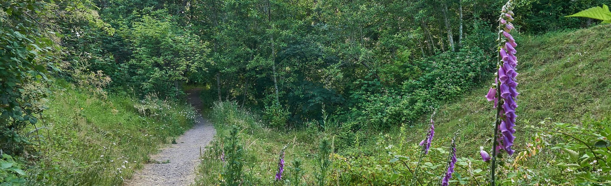 Shadow Ridge Trail: 111 Reviews, Map - Oregon | AllTrails