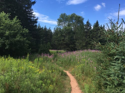 Best Hikes and Trails in Red Point Provincial Park | AllTrails