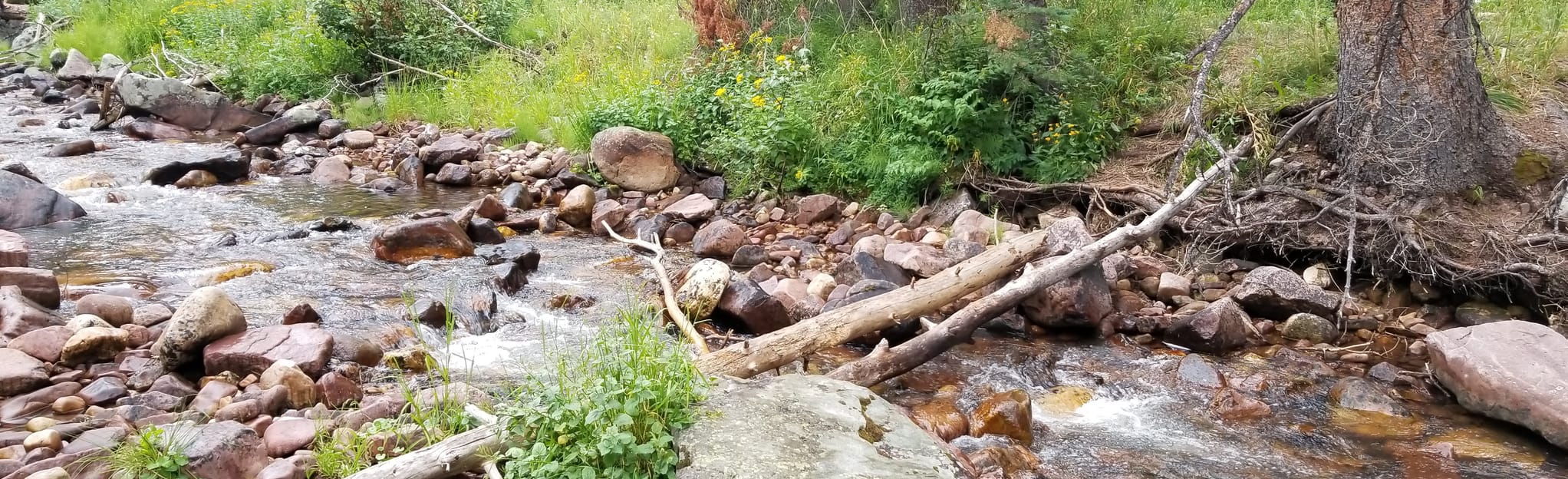 Middle Fork Weber River Trail, Utah - 4 Reviews, Map | AllTrails
