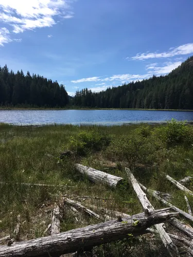 10 Best Hikes and Trails in Inland Lake Provincial Park | AllTrails