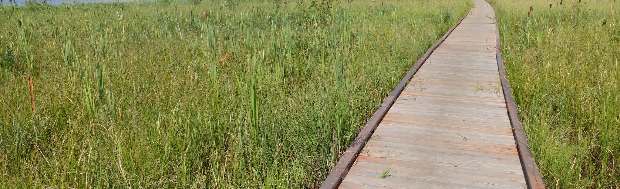 Kelly Lake Trail , Ontario, Canada - 127 Reviews, Map | AllTrails