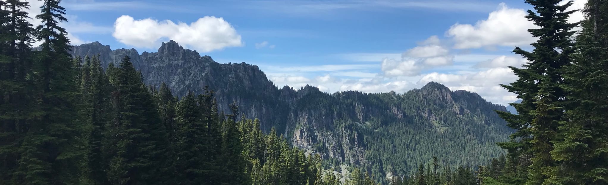 Spray Park and Wonderland Trail Loop, Washington - 291 Reviews, Map ...