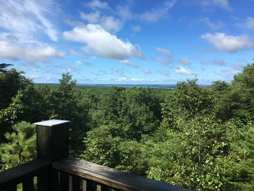 Best Hikes and Trails in Elk Neck State Forest | AllTrails