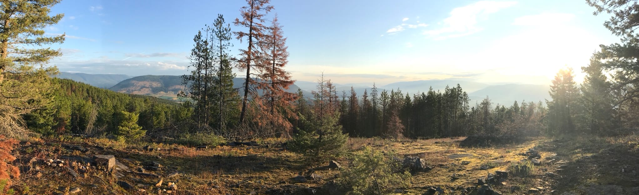 Mount Rose Swanson: Centennial and Jackpine Loop : 107 Photos ...