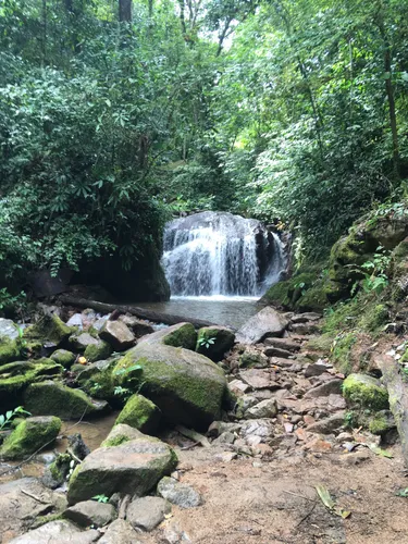 Best Hikes and Trails in San Ramón | AllTrails