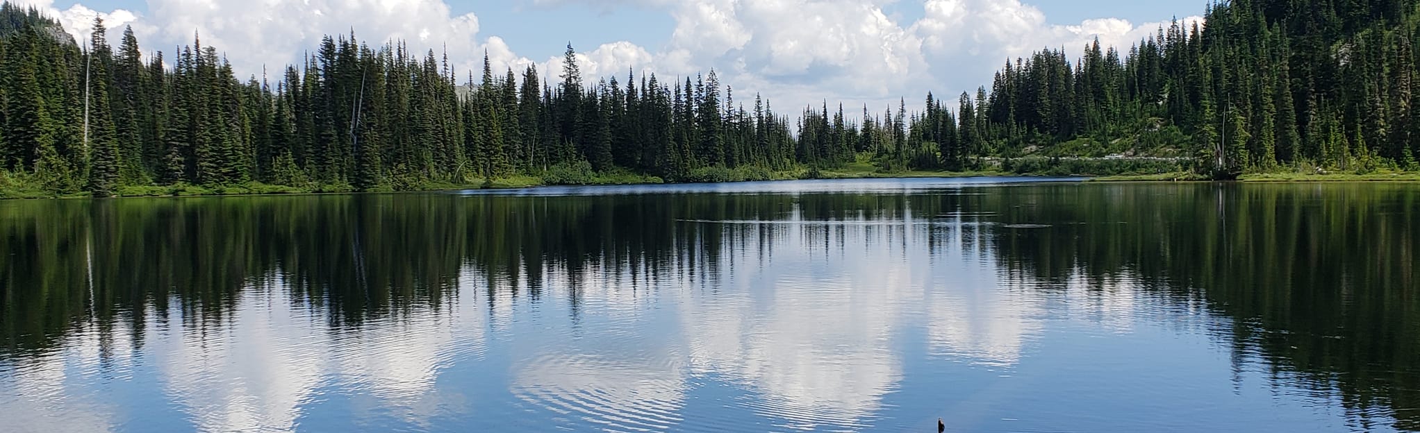Reflection Lake to Narada Falls via Lower Lakes Trail, Washington - 680 ...