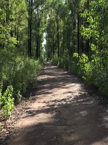 Best 10 Hikes and Trails in Lane Poole Reserve | AllTrails