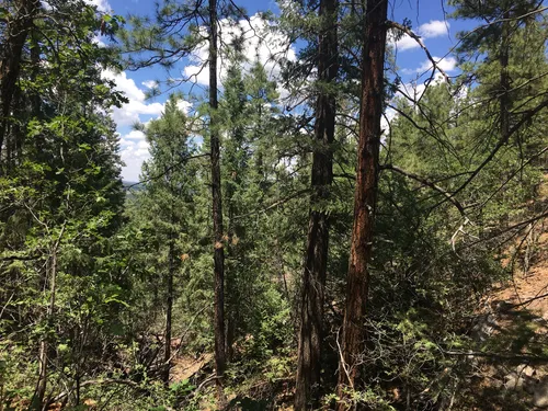 10 Best Trails and Hikes in Williams | AllTrails