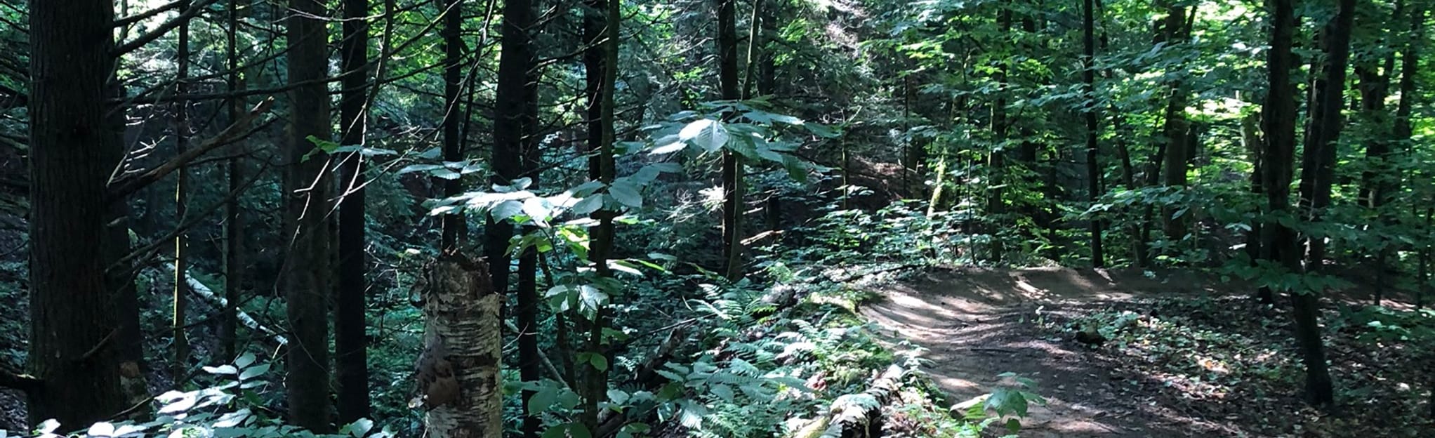 Doubletrack, Burning Spear, Rasta Man, Joe's, and Campfire Trail: 42 ...