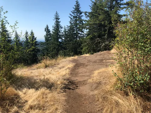 Best Hikes and Trails in Spring Lake/Lake Desire Park | AllTrails