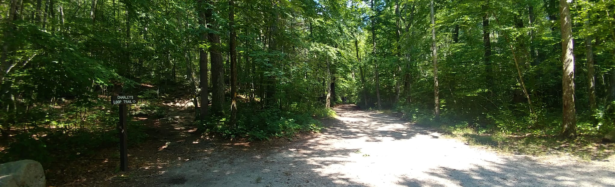 Chasm Loop Trail and Purgatory Brook [CLOSED], Massachusetts - 703 ...
