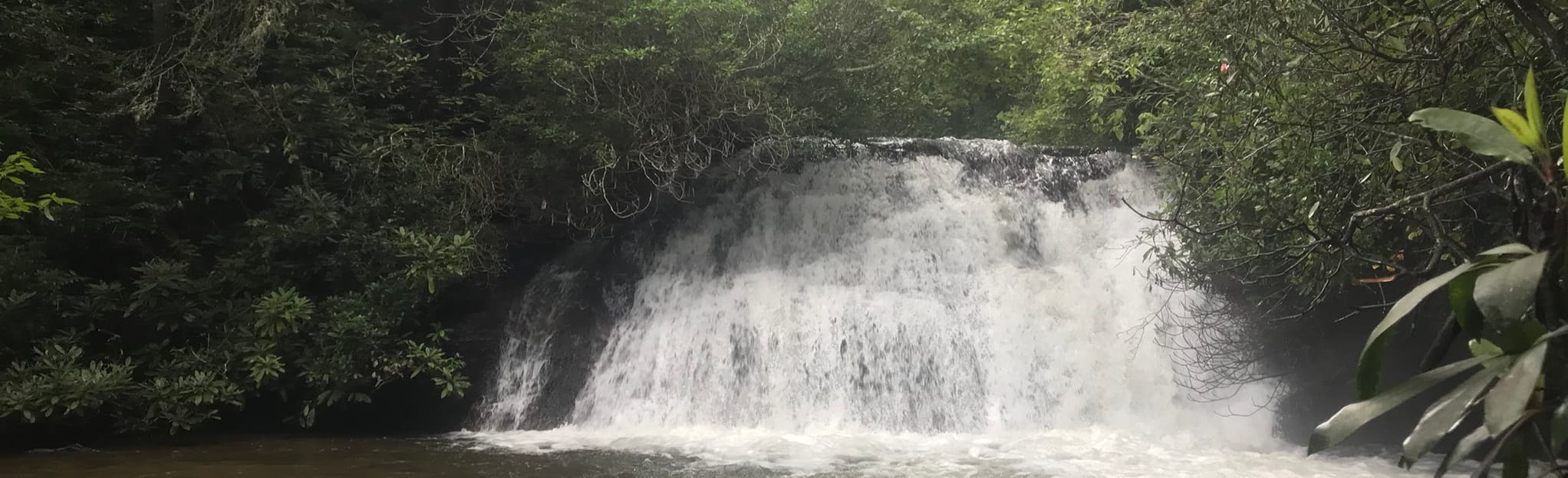 Chattooga River, Fork Mountain, and Foothills Trail Loop: 68 Reviews ...