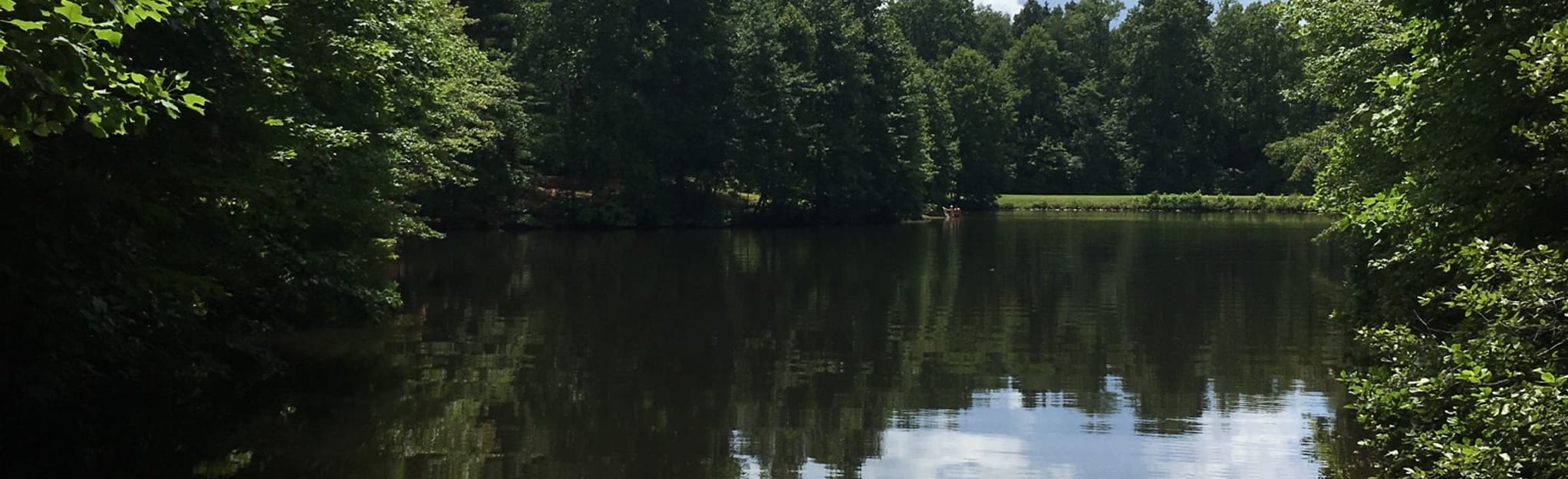 Lake Cheston to Otey Point , 114 Photos - Tennessee | AllTrails