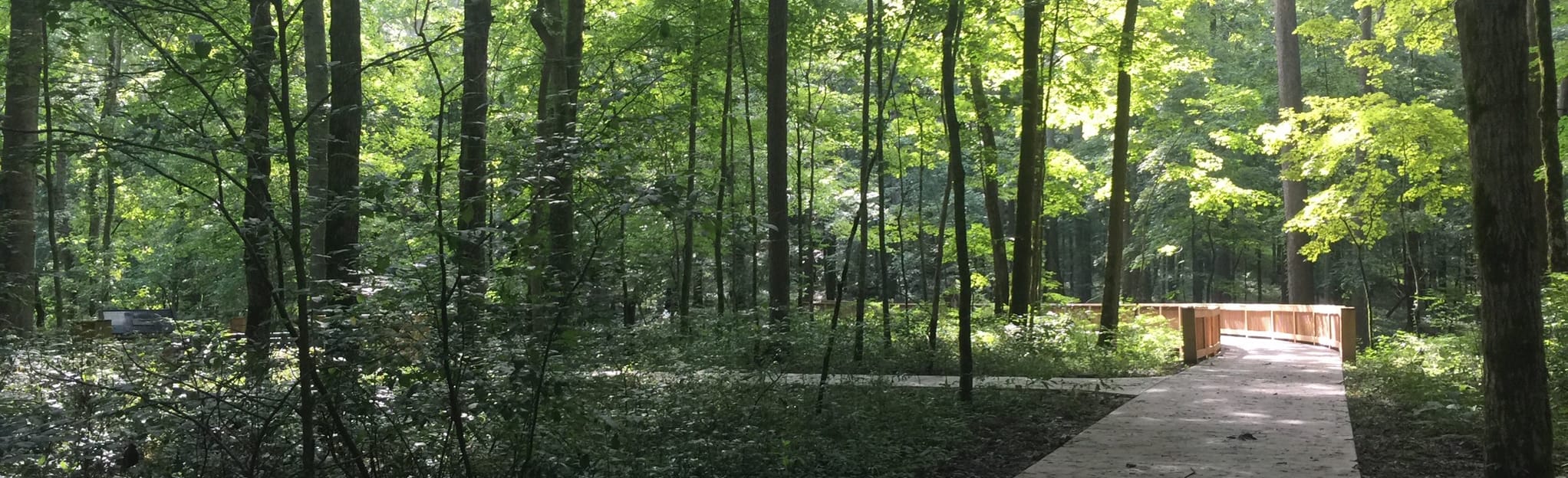 Echo River Spring Trail, Kentucky - 108 Reviews, Map | AllTrails